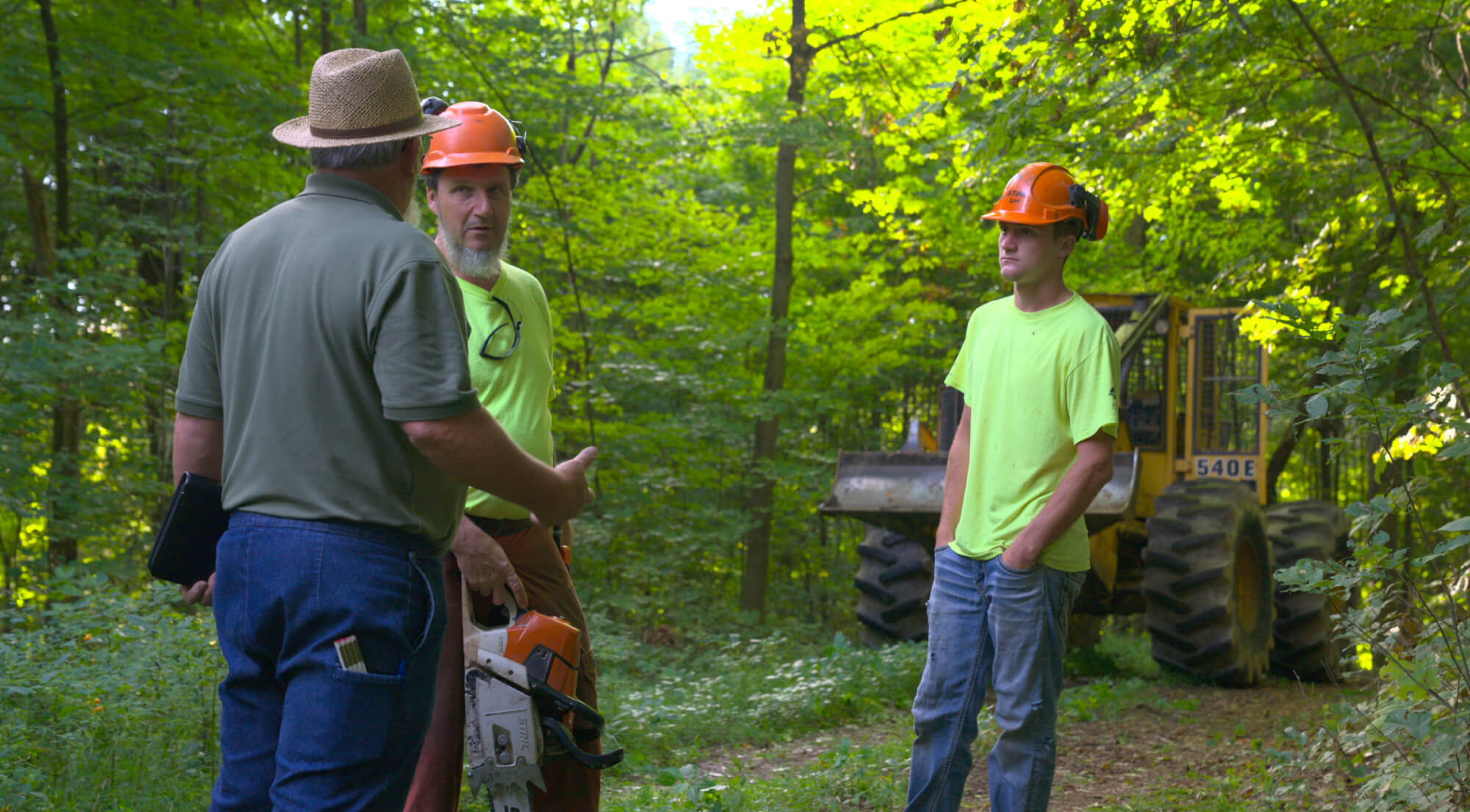 Sell Timber in Ohio - Mavin Timber